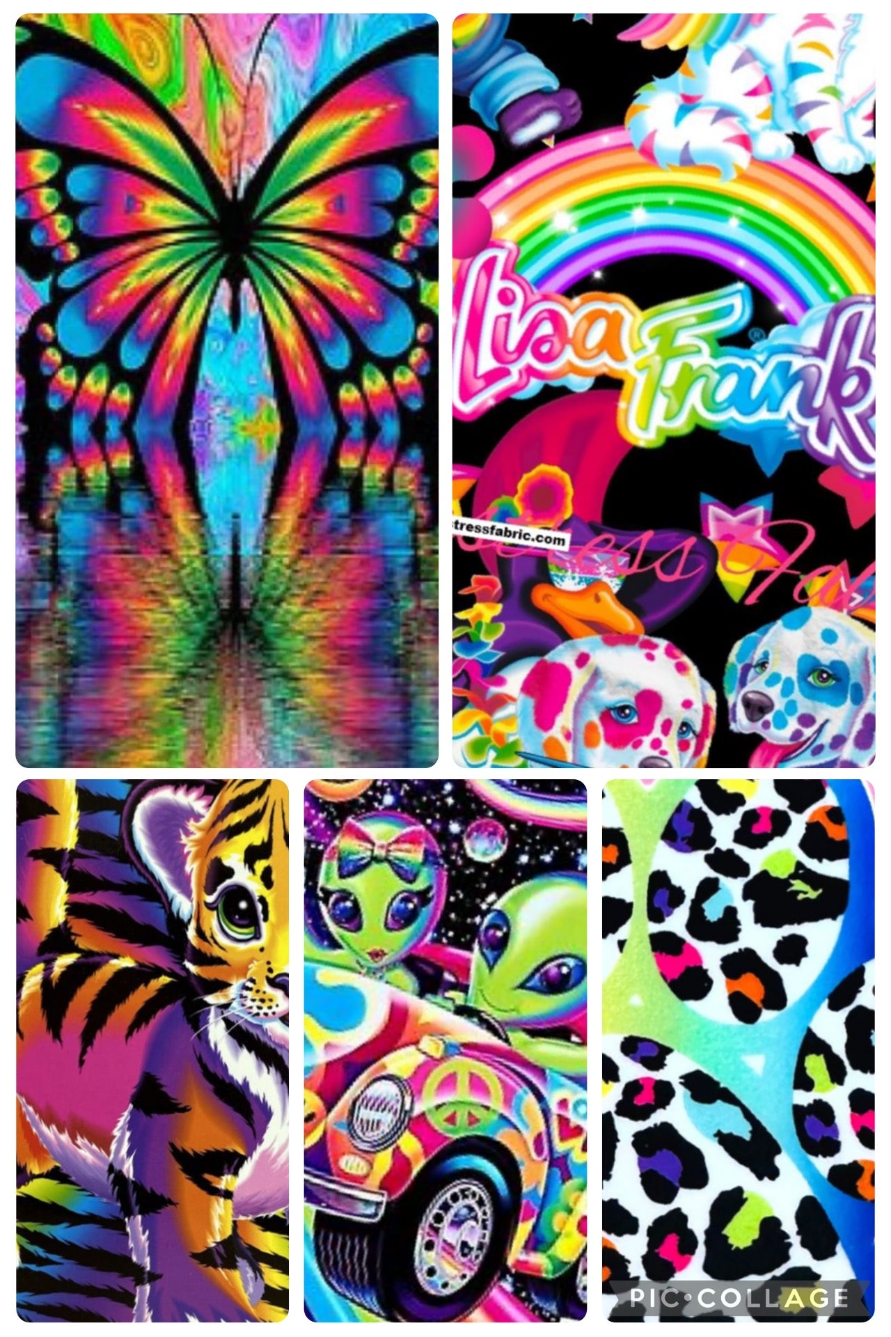 LYS Day 2025 Yarn | River Heights Yarn Co